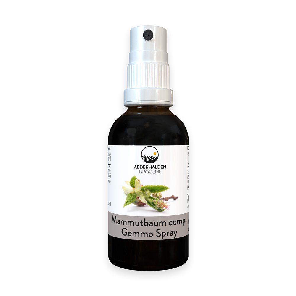 Abderhalden Drogerie Gemmo Mammutbaum comp. Spray